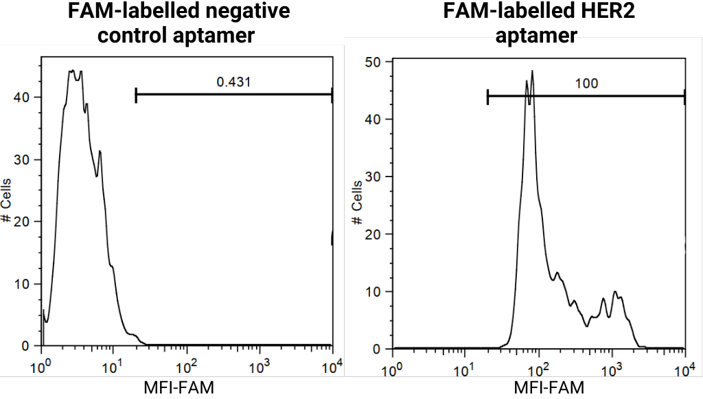 Case Studies | Neoaptamers.com